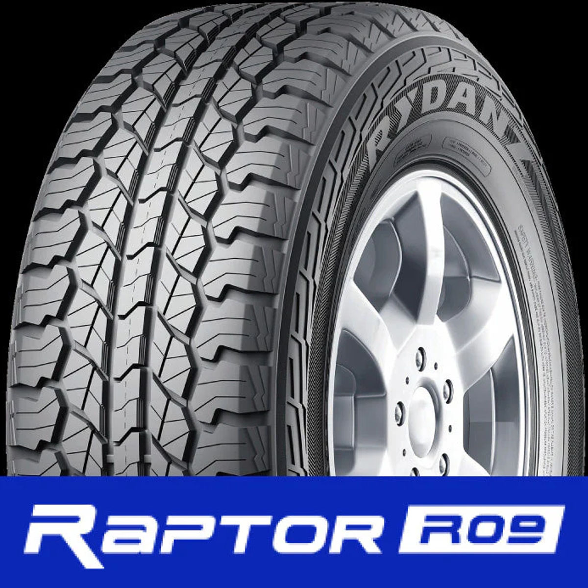 レイダン RYDANZ RAPTOR R09 255/70R16 Z0163 | ノエルオンライン