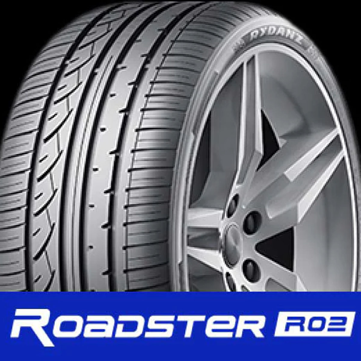 レイダン RYDANZ ROADSTER R02 225/35ZR19 Z0032 | ノエルオンライン